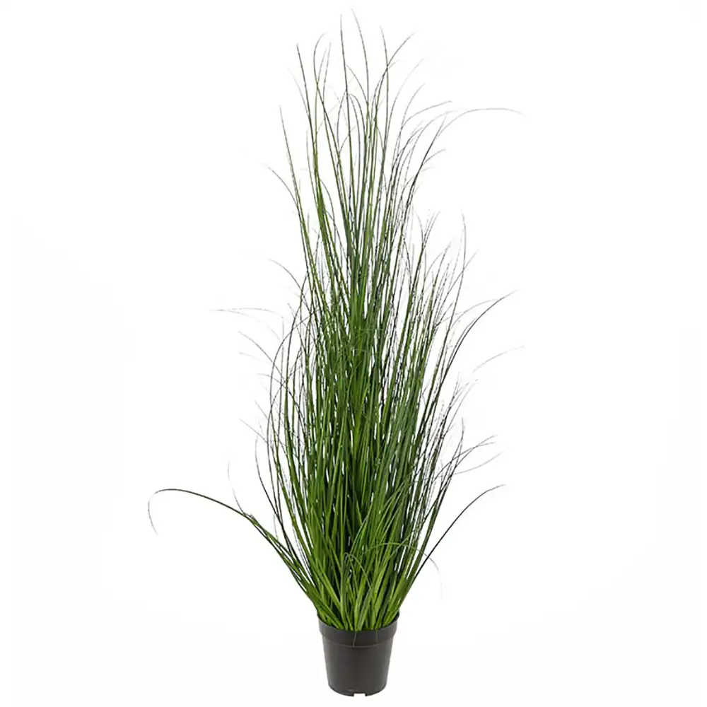 Mr Plant Gress 110 cm | Kjøp fra Hulténs